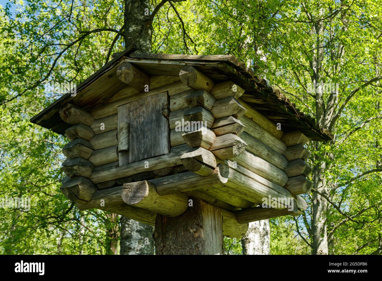 Small tree house made of logs in the forest Stock Photo - Alamy