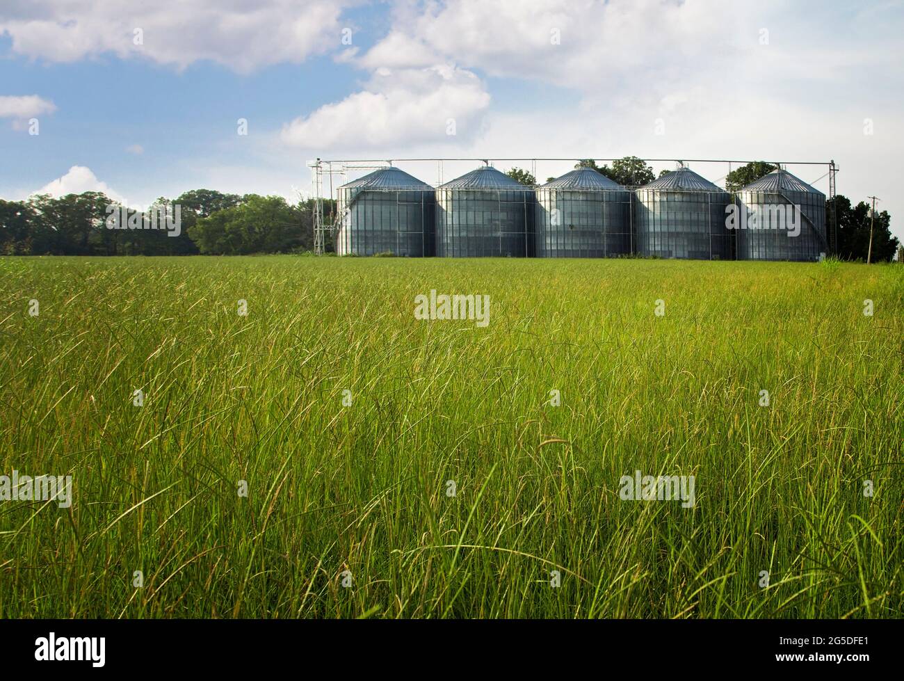A Green Field Full of Grass and Metal Buildings in the Background Stock ...