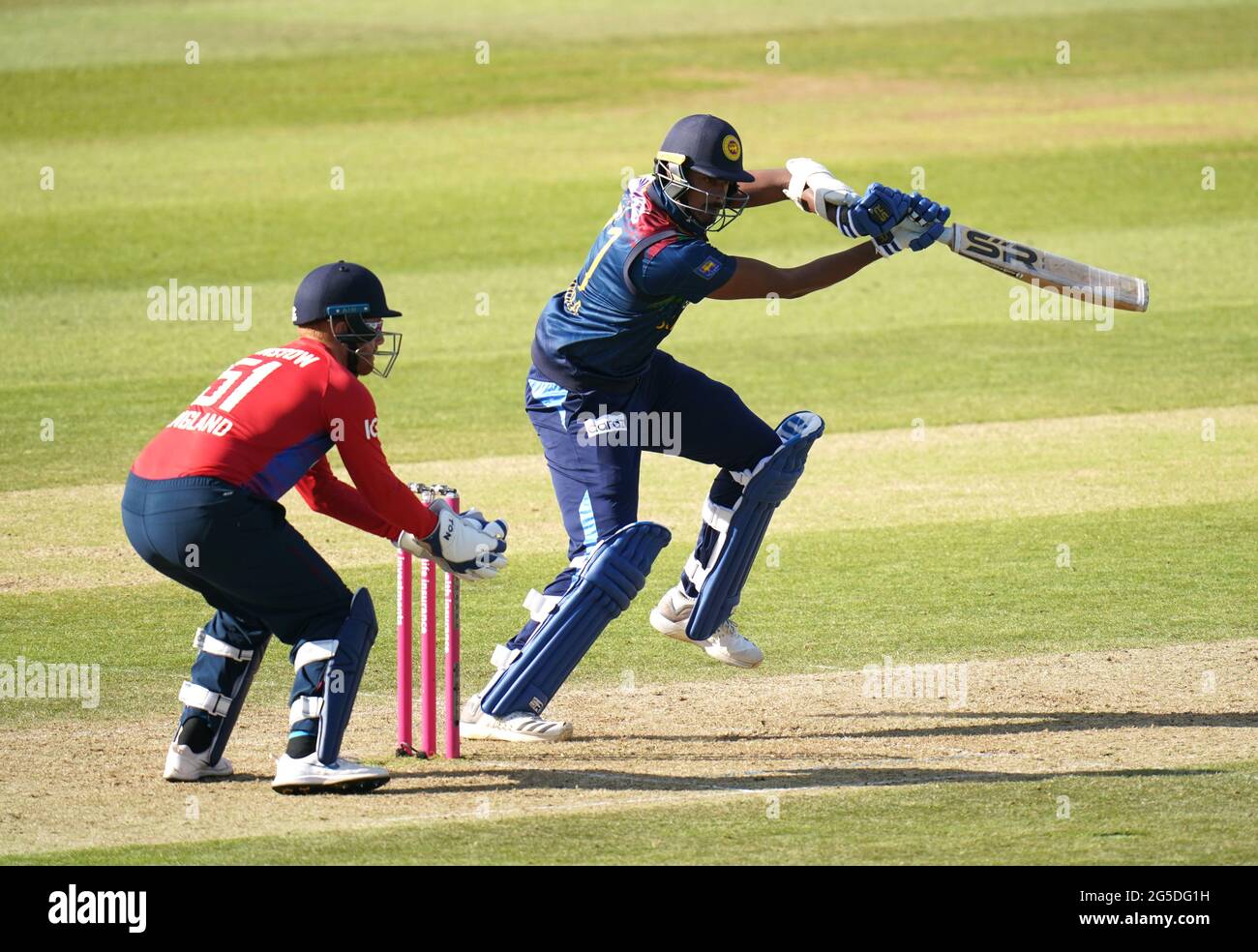 Binura hi-res stock photography and images - Alamy