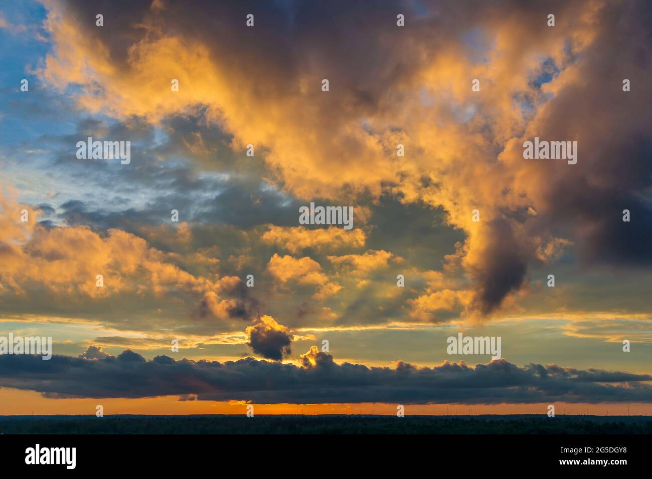 Spectacular yellow-orange sunset over the forest. The sun sets ...