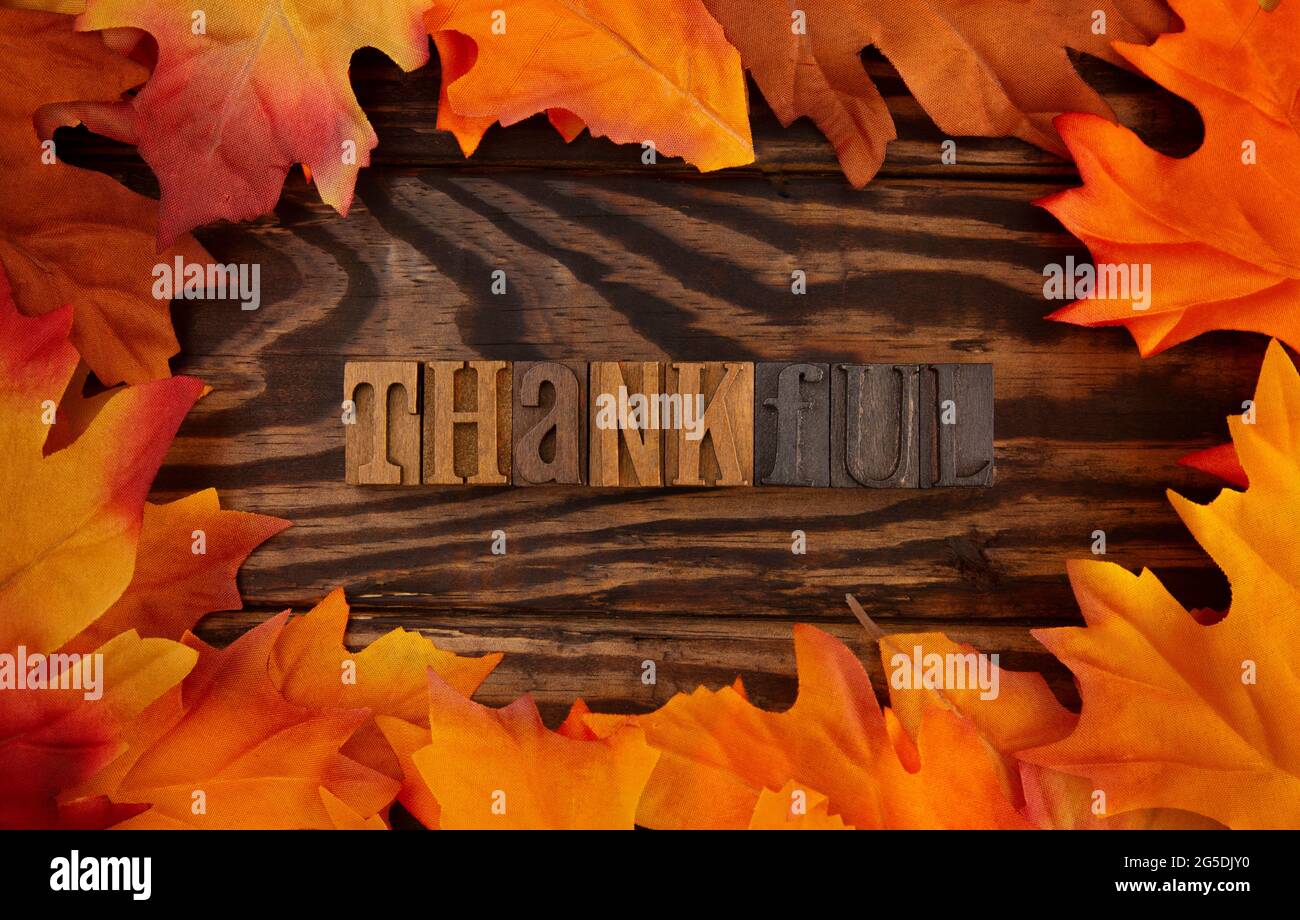 Thankful in a Border of Fall Leaves Stock Photo - Alamy