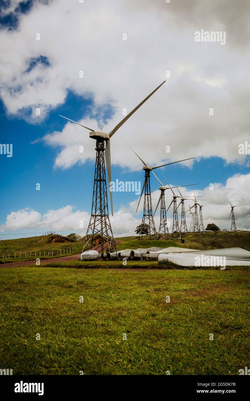 Windmills using wind to produce clean sustainable energy Stock Photo ...