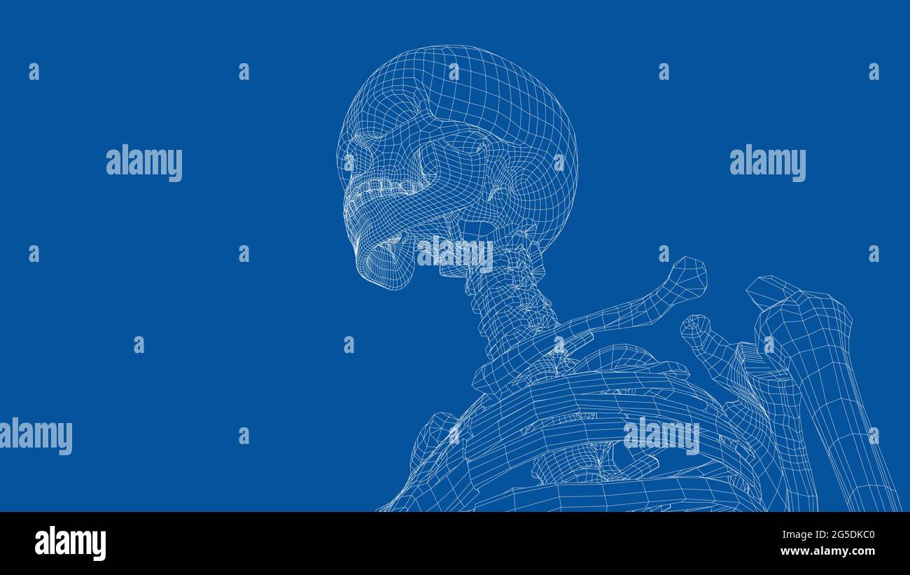 Human skeleton. Vector Stock Vector Image & Art - Alamy