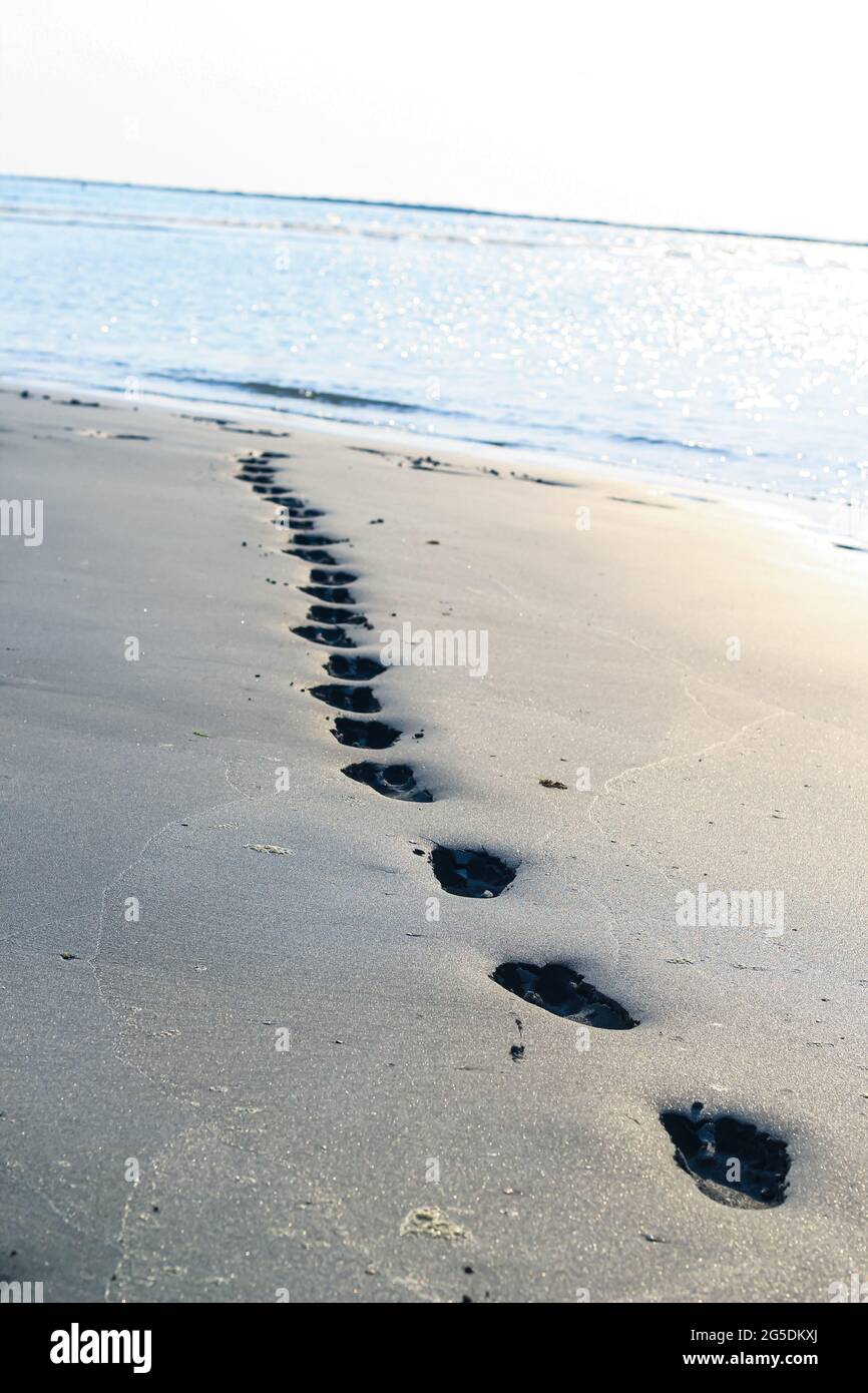 Footprints on the beach sand. Traces on the beach. Footsteps on the ...
