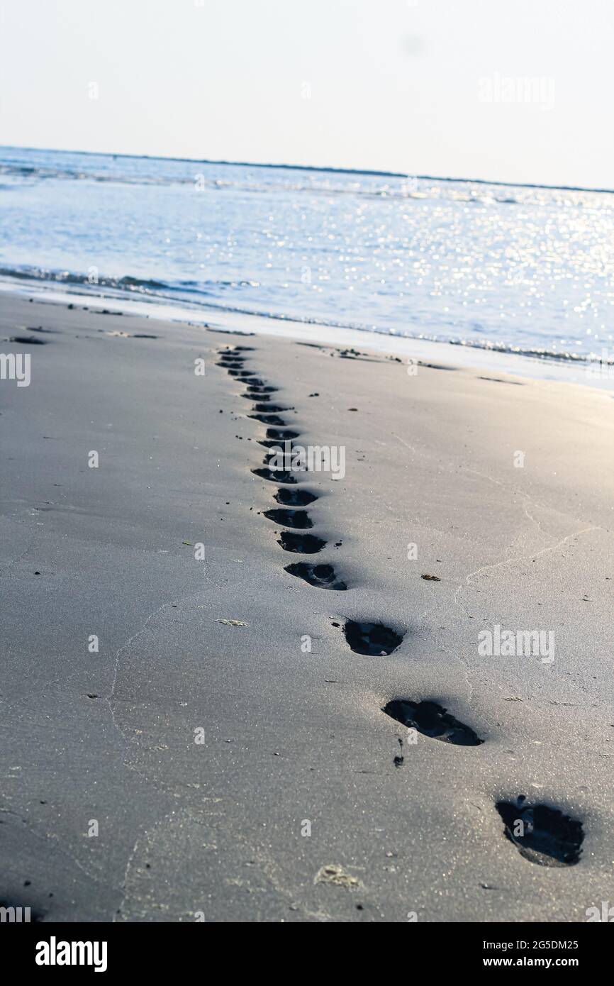 Footprints on the beach sand. Traces on the beach. Footsteps on the ...