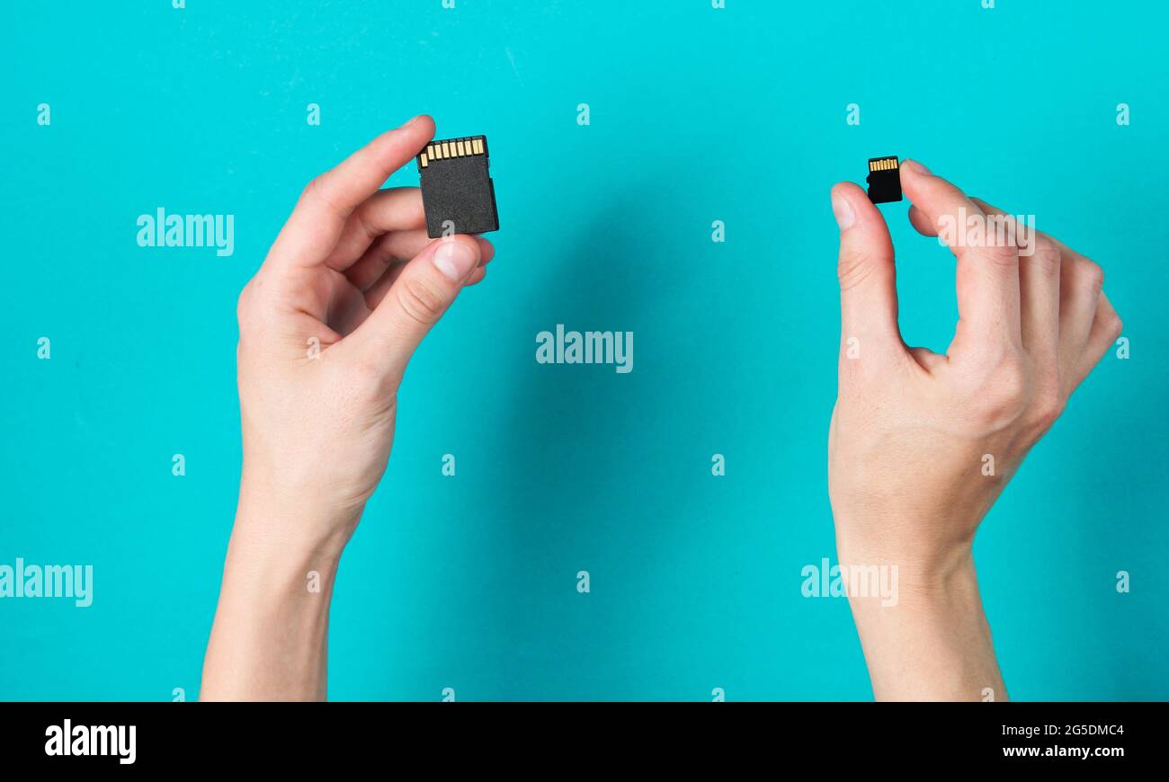 Female hands holds two SD memory cards on blue background. Minimalist ...