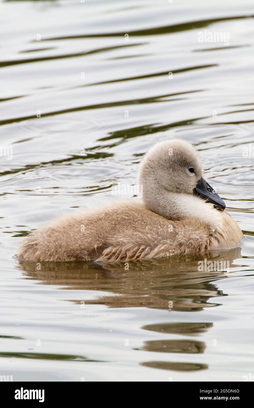 Backwell, england hi-res stock photography and images - Alamy