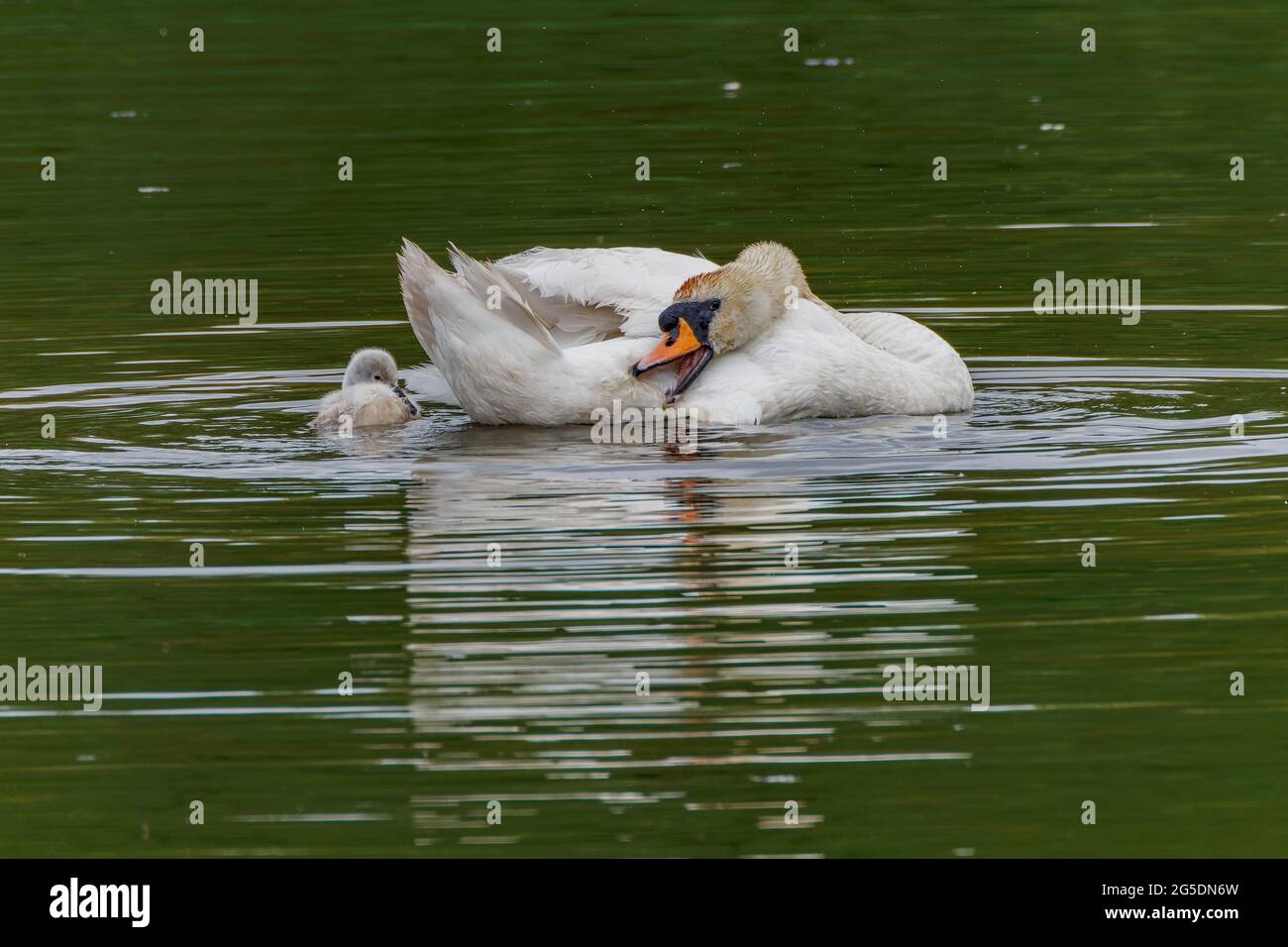 Backwell, england hi-res stock photography and images - Alamy