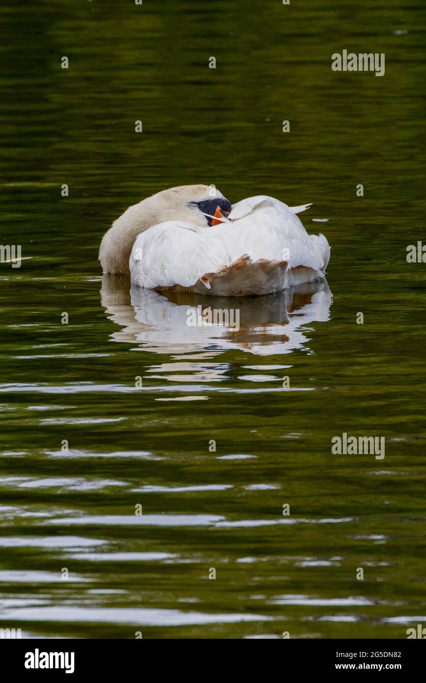Backwell, england hi-res stock photography and images - Alamy