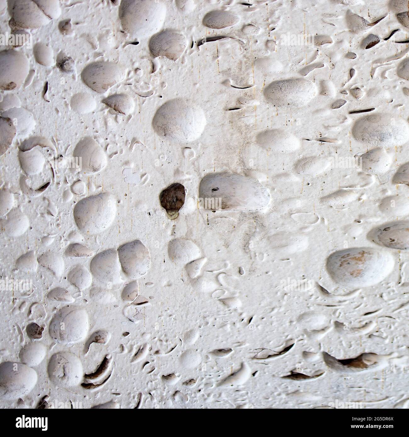 This is a light limestone slab with traces of shells. Shell rock ...