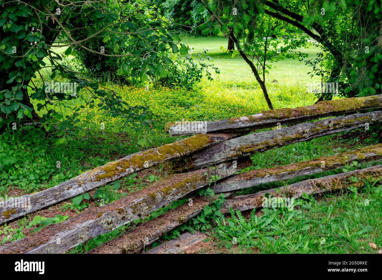 Wooden mossy fence for the gar Stock Photo - Alamy
