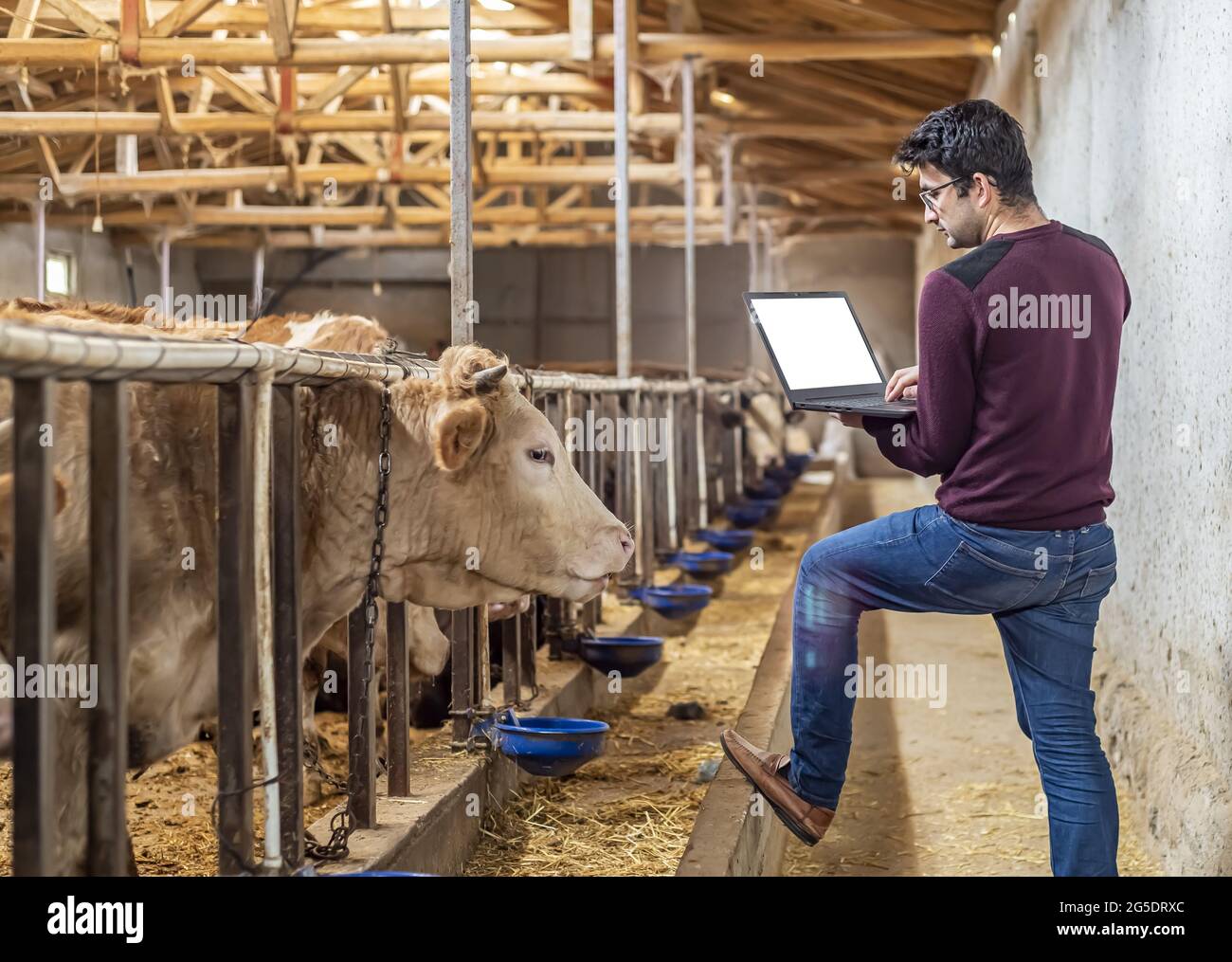 Young Turkish farmer holding a modern laptop with a blank screen for ...