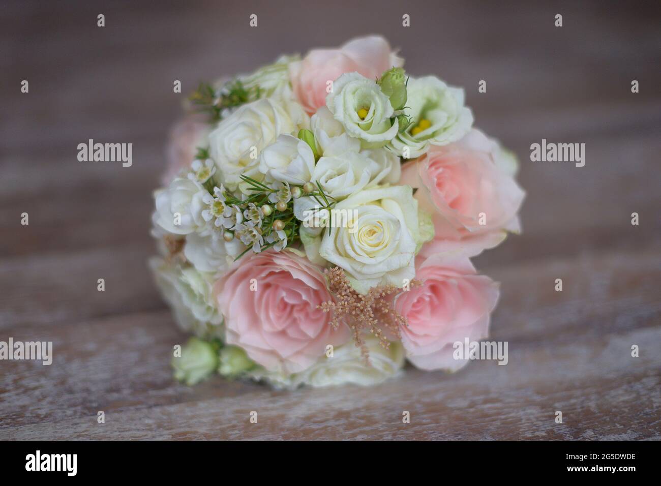 Round bridal bouquet facing forward with selective focus and pink and ...