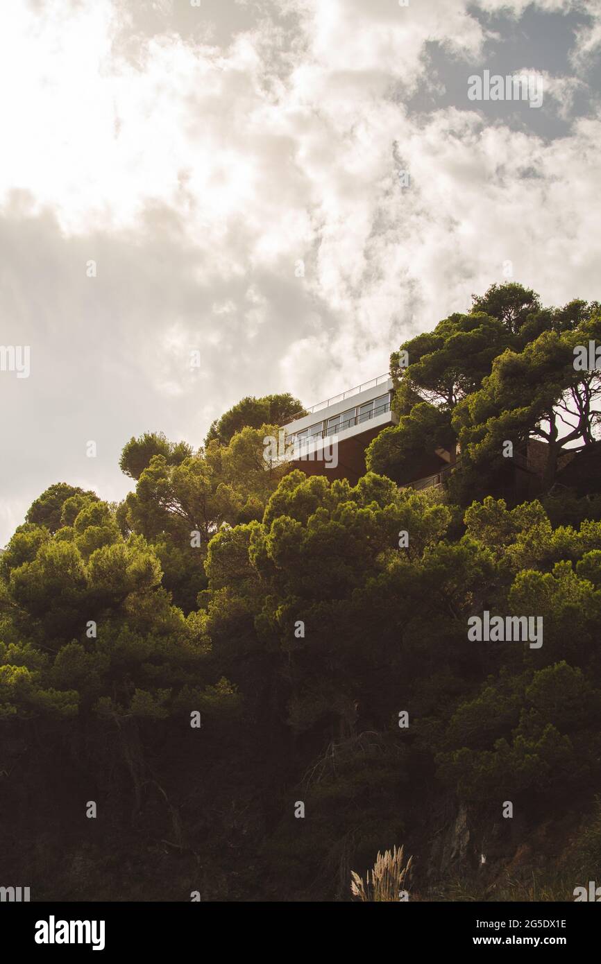 House between the trees hi-res stock photography and images - Alamy
