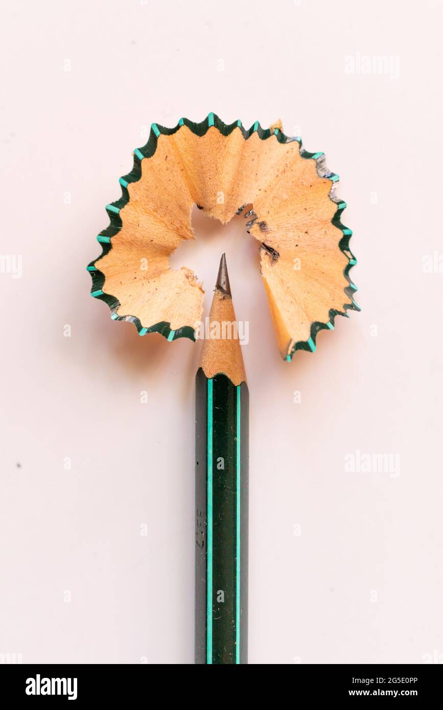 macro shot of pencil in a sharpener, minimalistic concept Stock Photo ...