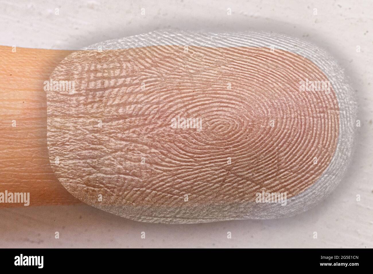 electric biometric fingerprint scan, macro shot, future technology ...