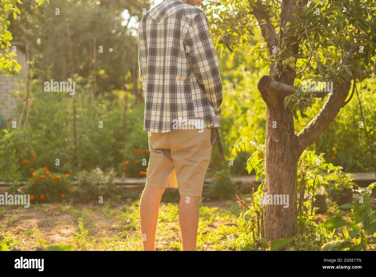rear view of young person standing outdoor and piss under the tree ...