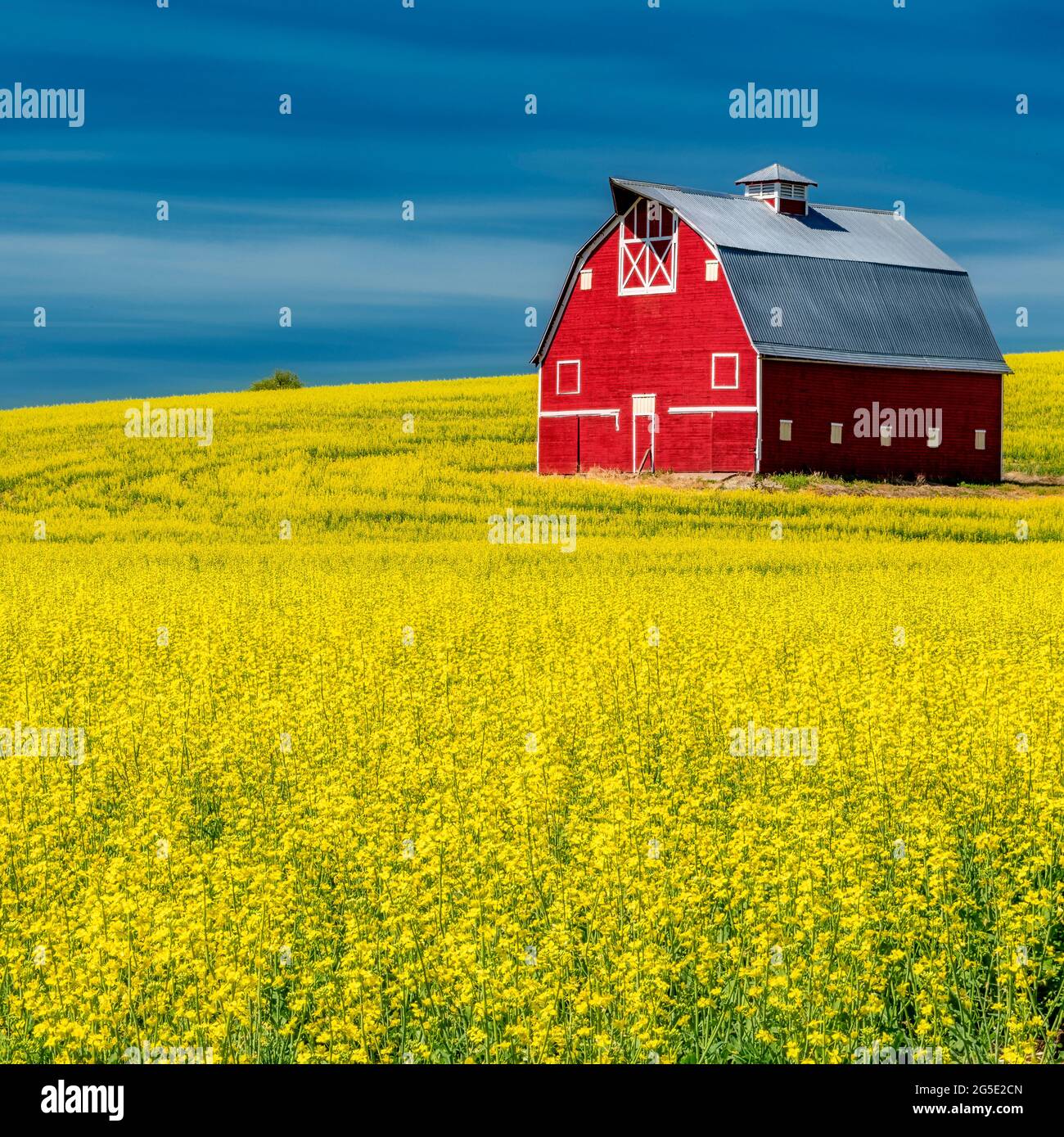 Beautiful farm barn with complimentary colors square crop Stock Photo ...