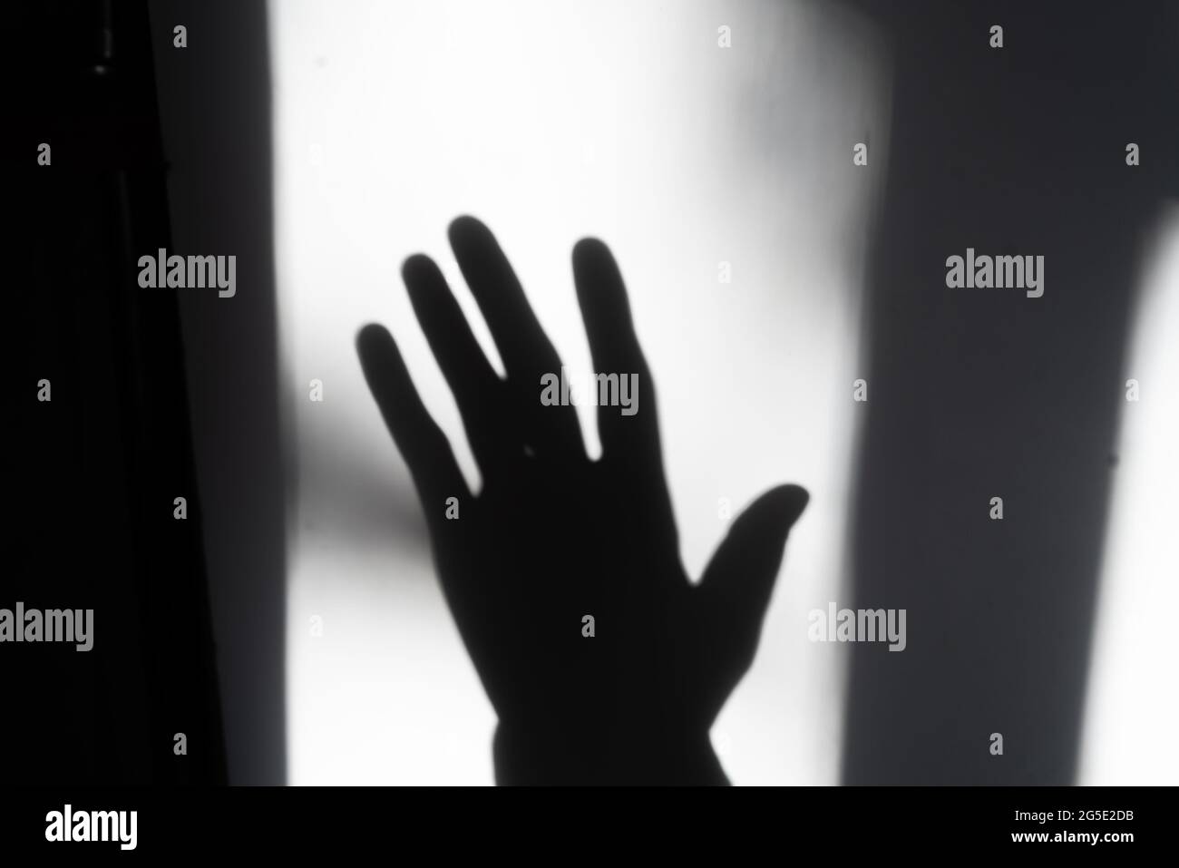 Hand signal dog hi-res stock photography and images - Alamy