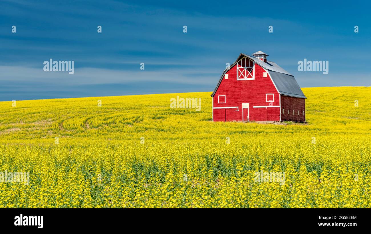 Beautiful farm barn with complimentary colors Stock Photo - Alamy