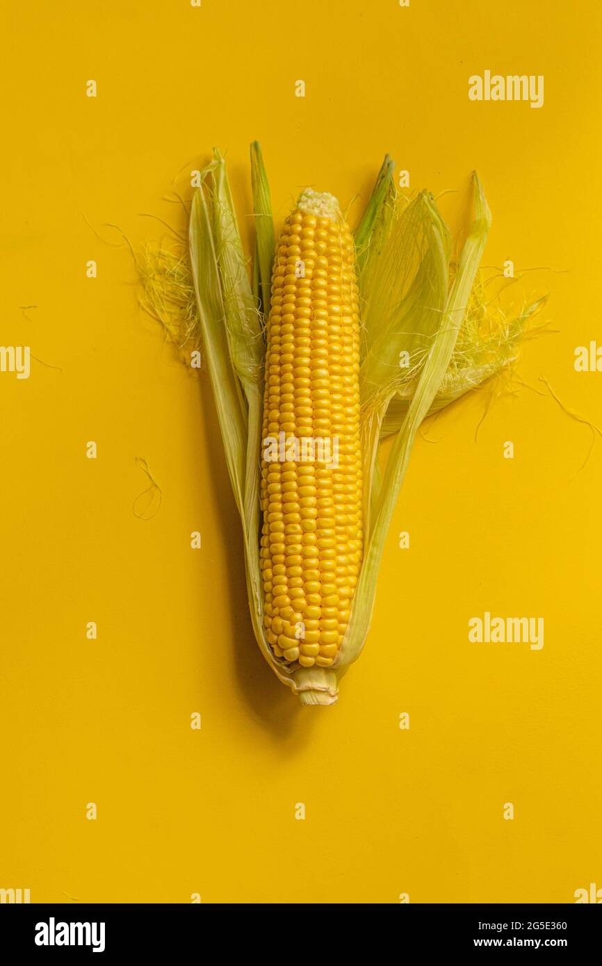 top view set of raw fresh corns with skin on color surface Stock Photo ...