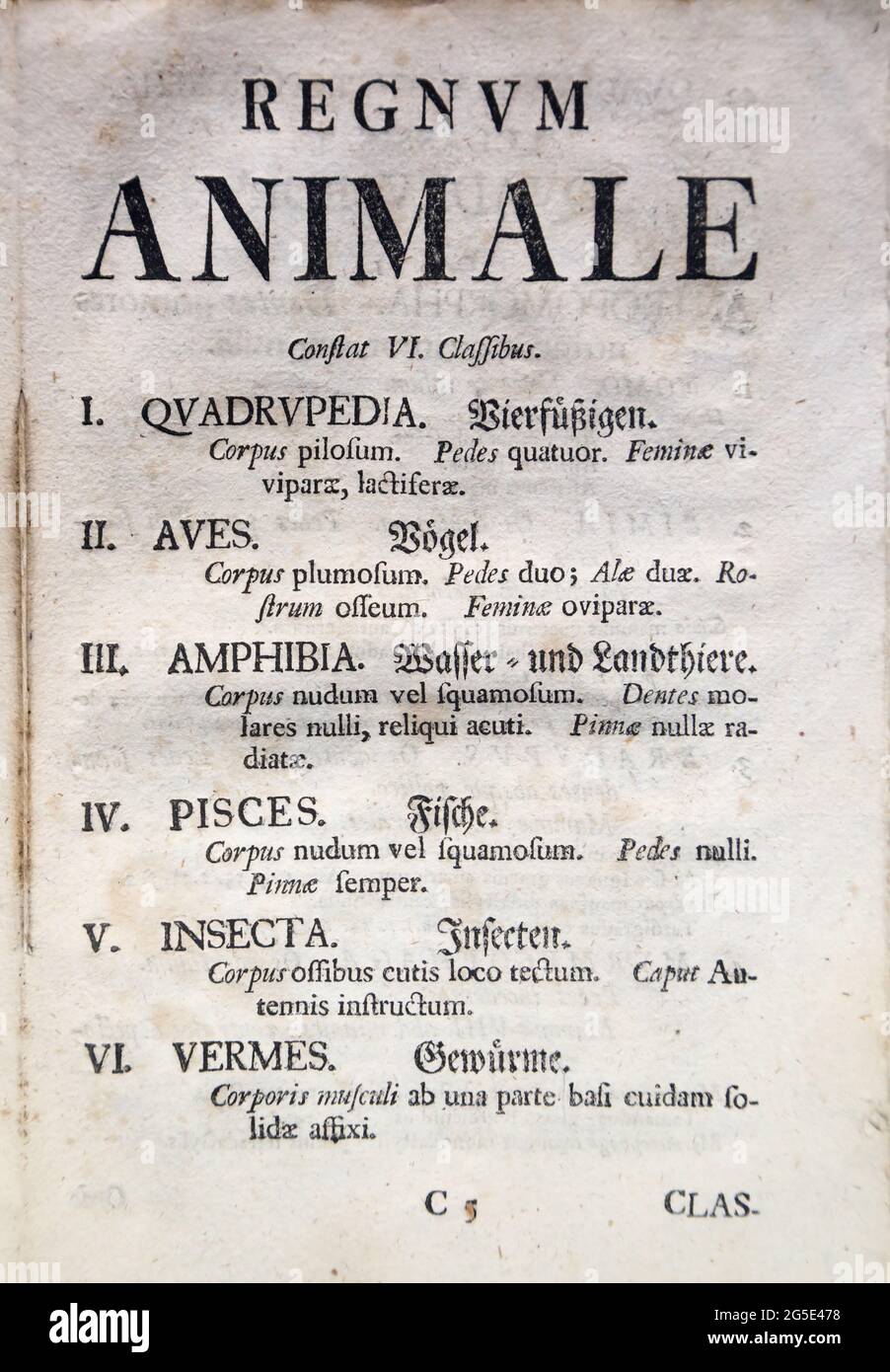 Page of ancient book with zoological classes of animals Stock Photo - Alamy