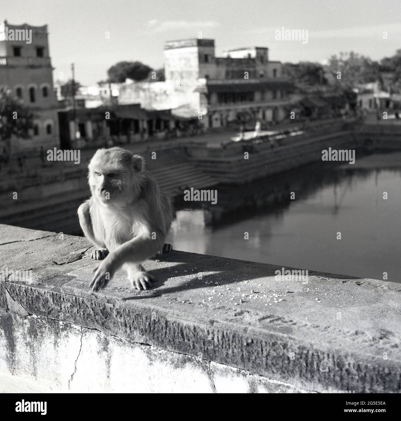 Monkey bridge hi-res stock photography and images - Alamy