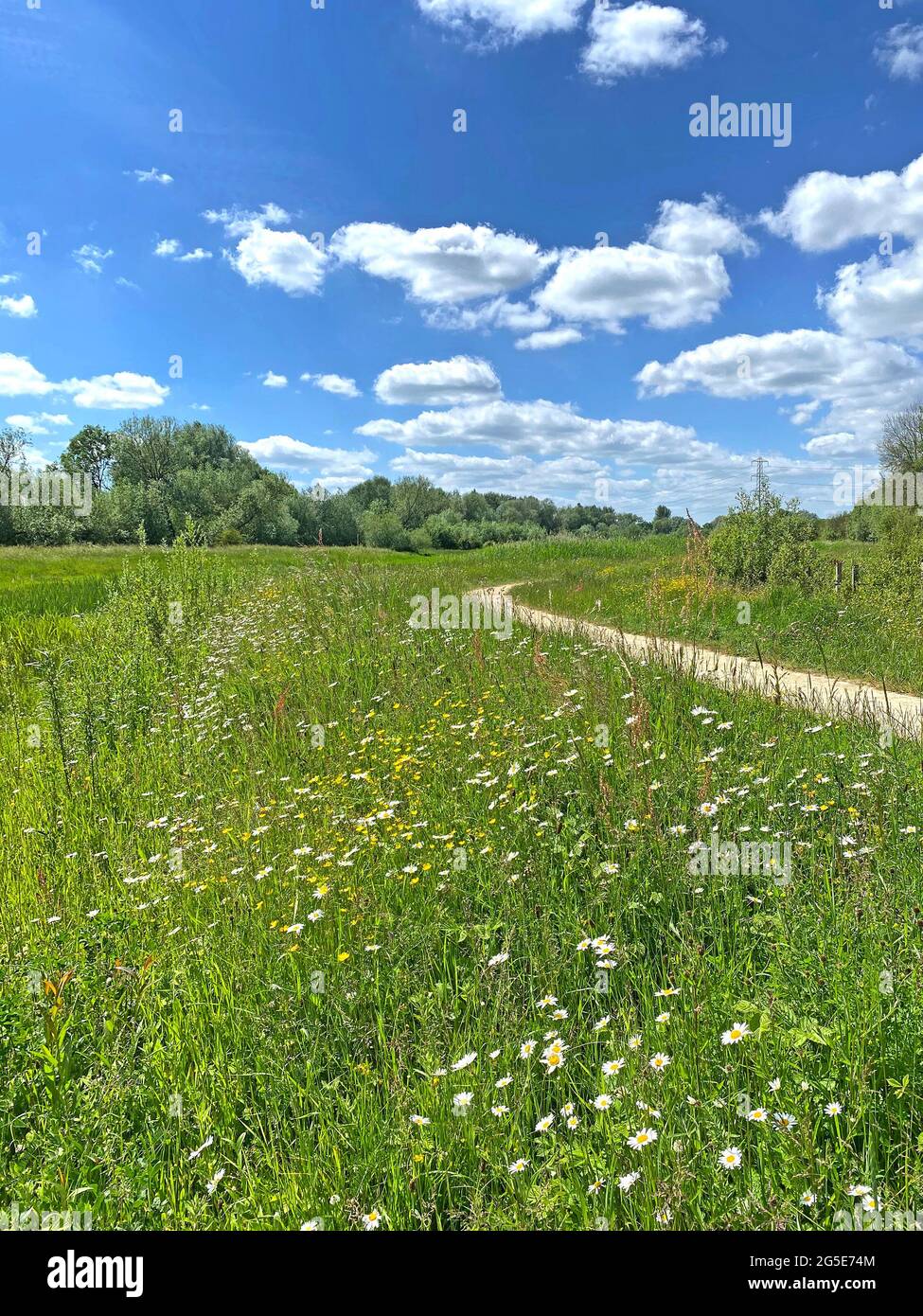 SUMMER PATH Photo: Tony Gale Stock Photo - Alamy
