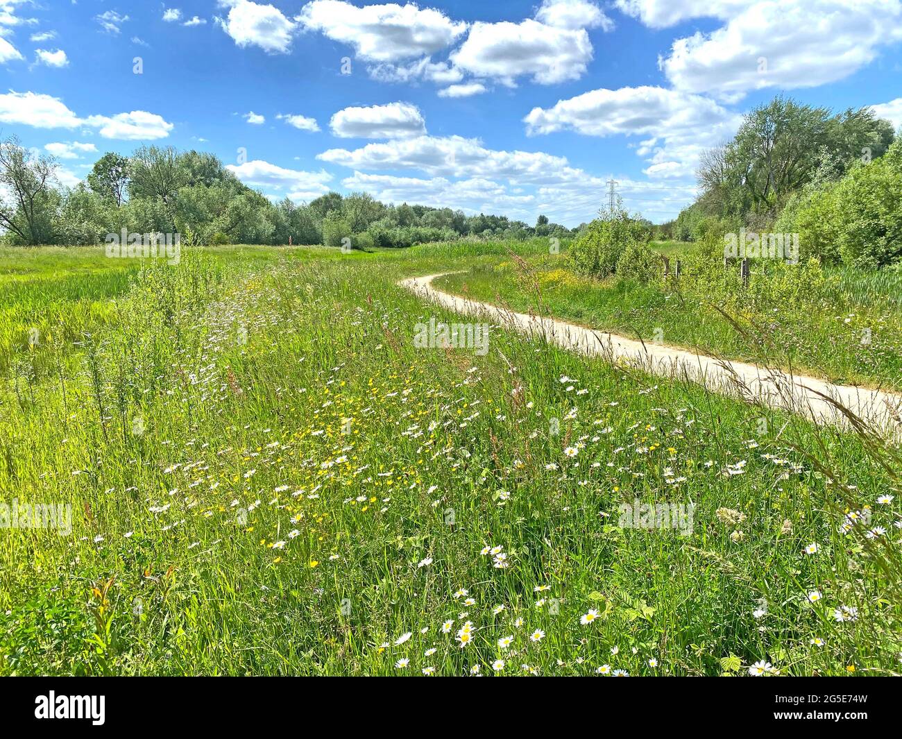 SUMMER PATH Photo: Tony Gale Stock Photo - Alamy