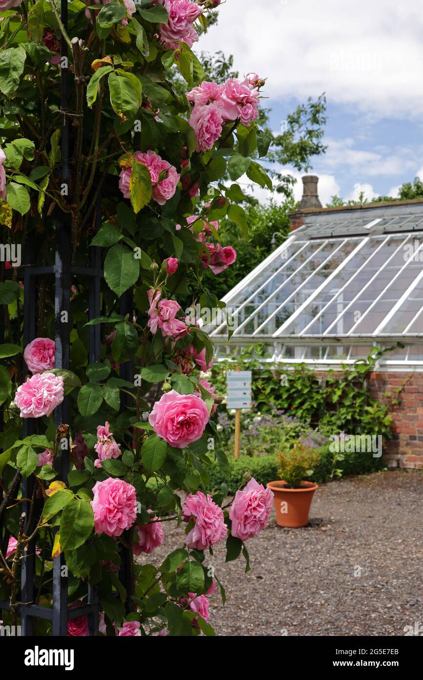 Wightwick hall and gardens in Wolverhampton UK Stock Photo - Alamy