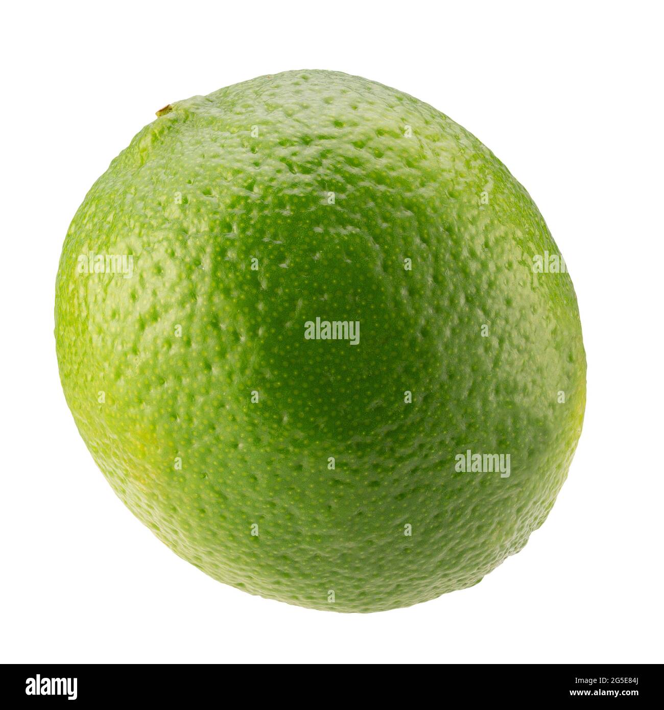 lime isolated on a white background Stock Photo - Alamy