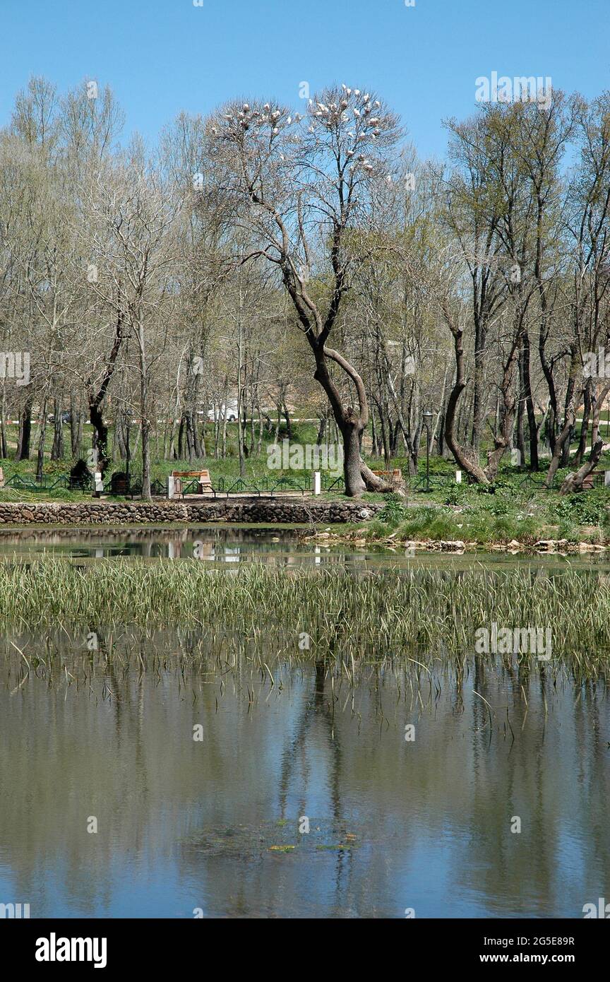 Morocco ifrane national park lake hi-res stock photography and images ...