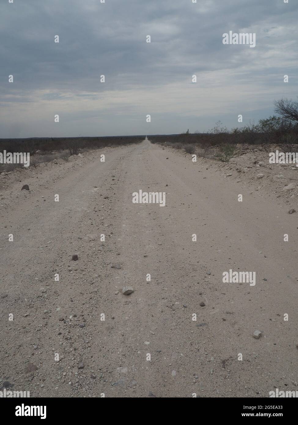 Vertical shot of the dusty road Stock Photo - Alamy