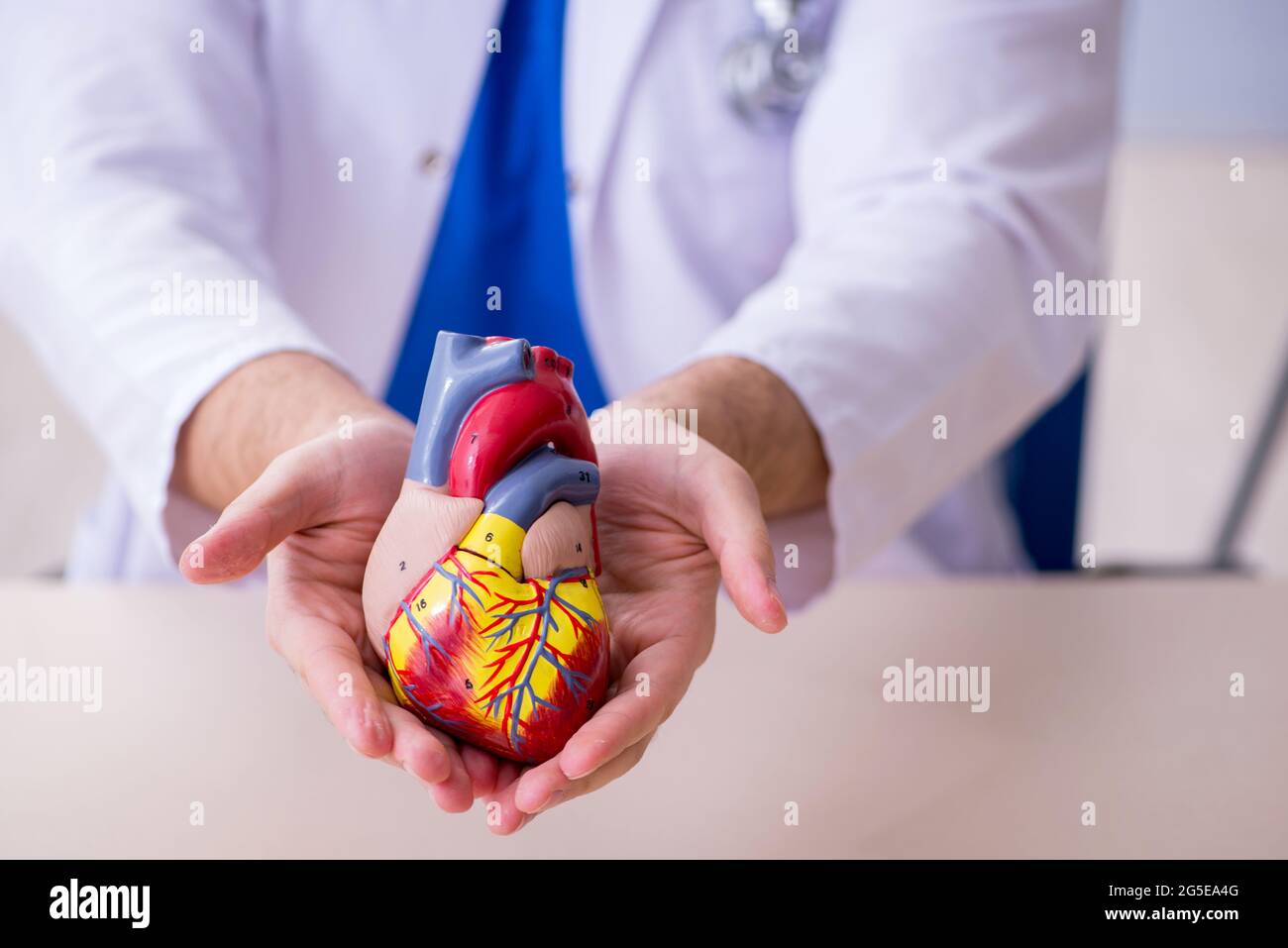 Young doctor cardiologist in the classroom Stock Photo - Alamy