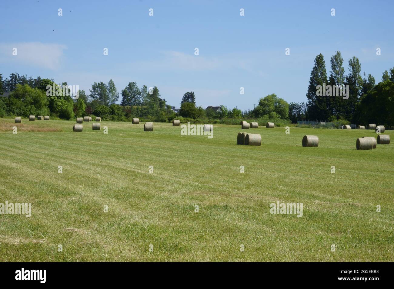 Silage fields hi-res stock photography and images - Alamy