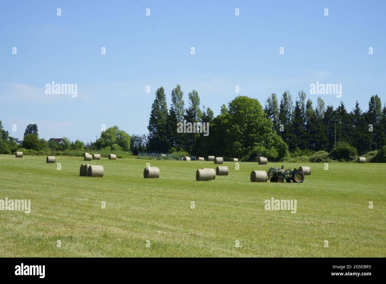 Silage fields hi-res stock photography and images - Alamy