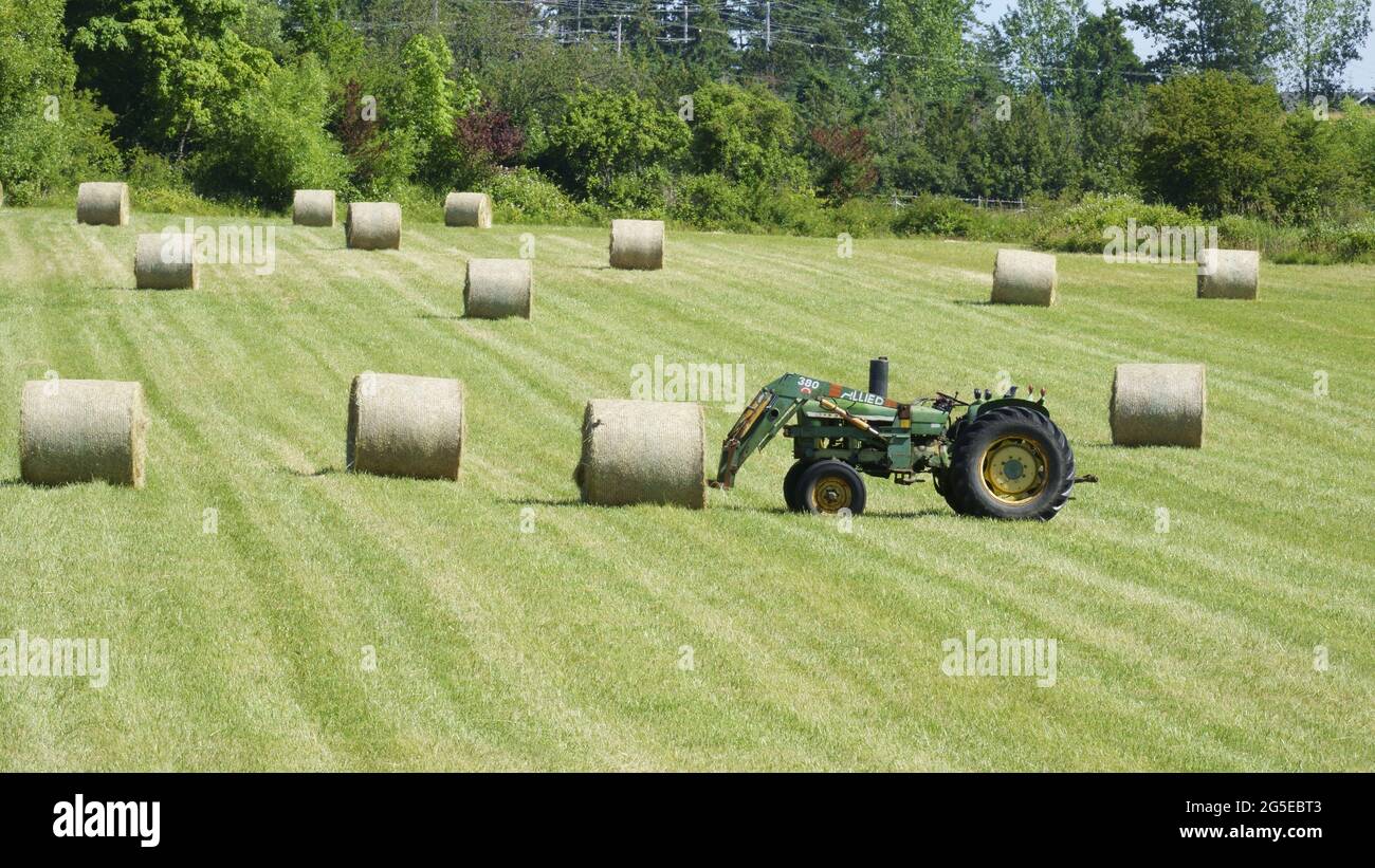 Silage fields hi-res stock photography and images - Alamy