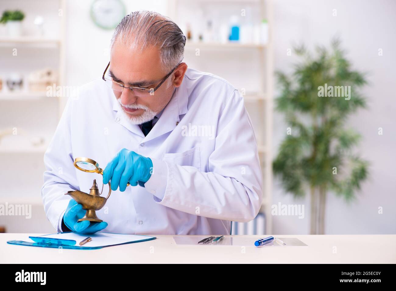 Old male archaeologist working in the lab Stock Photo - Alamy