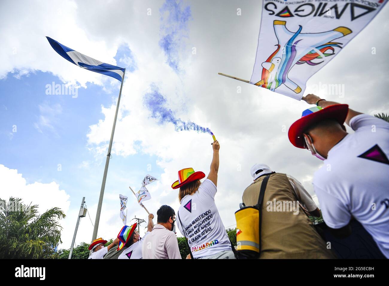 A participant holds up a smoke bomb while overlooking the Pride March ...