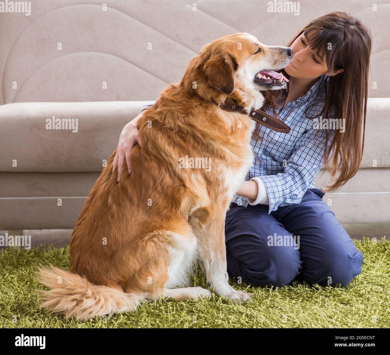 Beautiful girl hugging golden retriever hi-res stock photography and ...