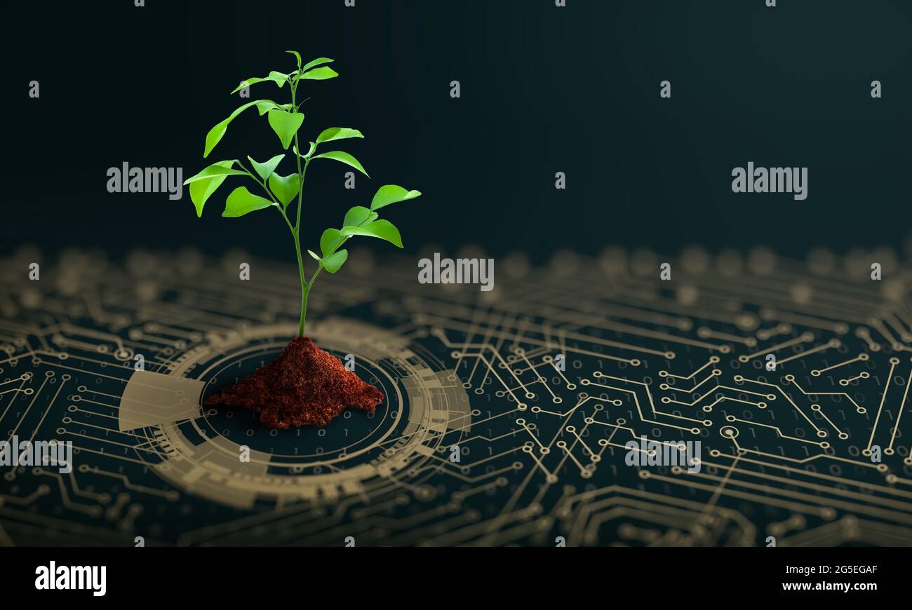 Growing tree with soil on the converging point of computer circuit ...