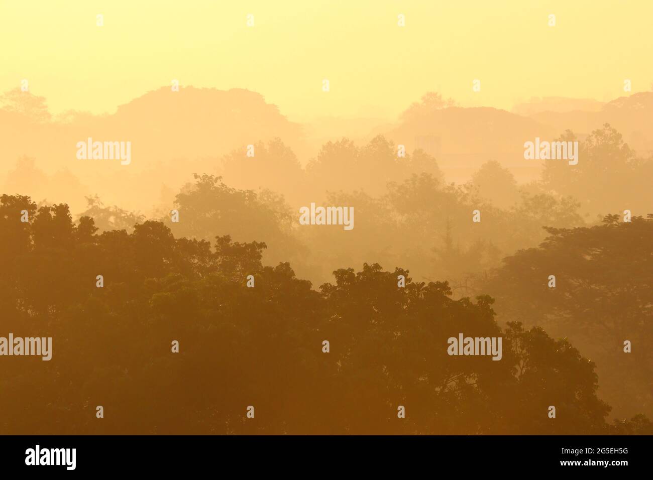 landscape photo, misty morning with layer of trees Stock Photo - Alamy