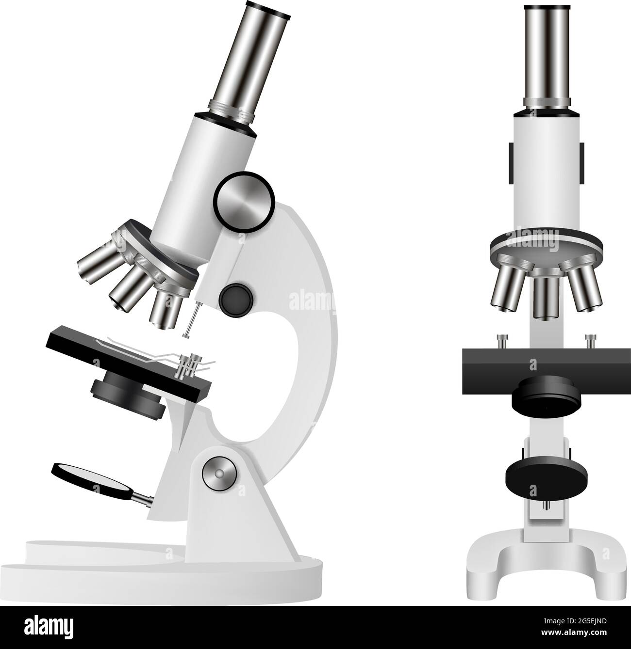 Paper cut back school Cut Out Stock Images & Pictures - Alamy