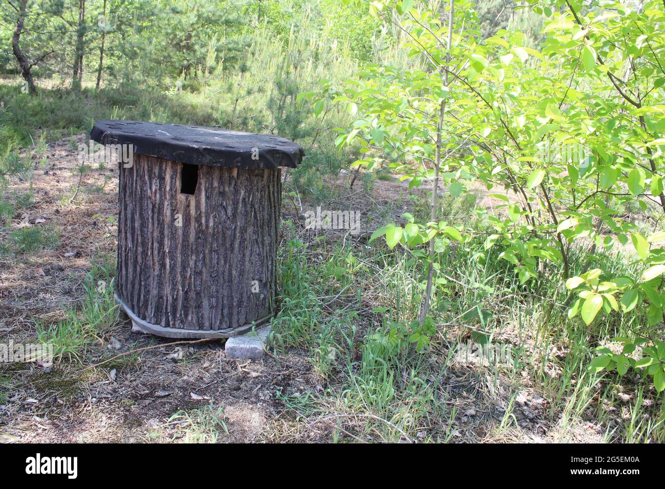 Lohsa, Germany. 05th June, 2021. The nest box of a pair of hoopoes with ...