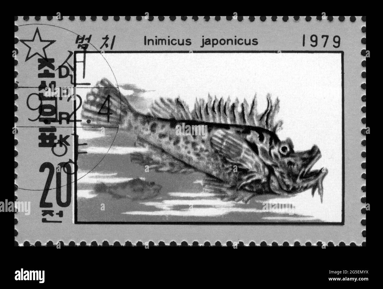 Fish inimicus japonicus hi-res stock photography and images - Alamy