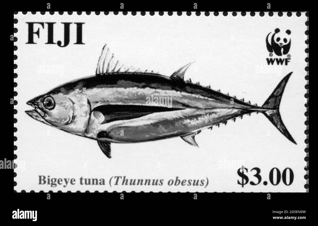 Bigeye Tuna High Resolution Stock Photography and Images - Alamy