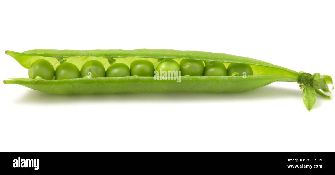 An open pea pod lies on a white background, isolated in full focus for ...