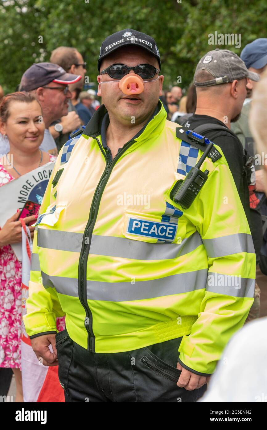 Fake pig hi-res stock photography and images - Alamy