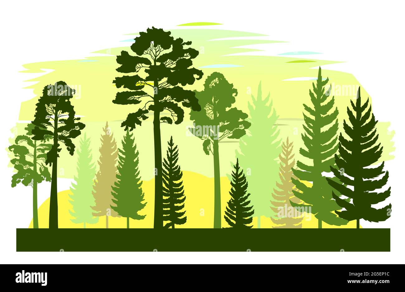 Pine Tree Forest Vector