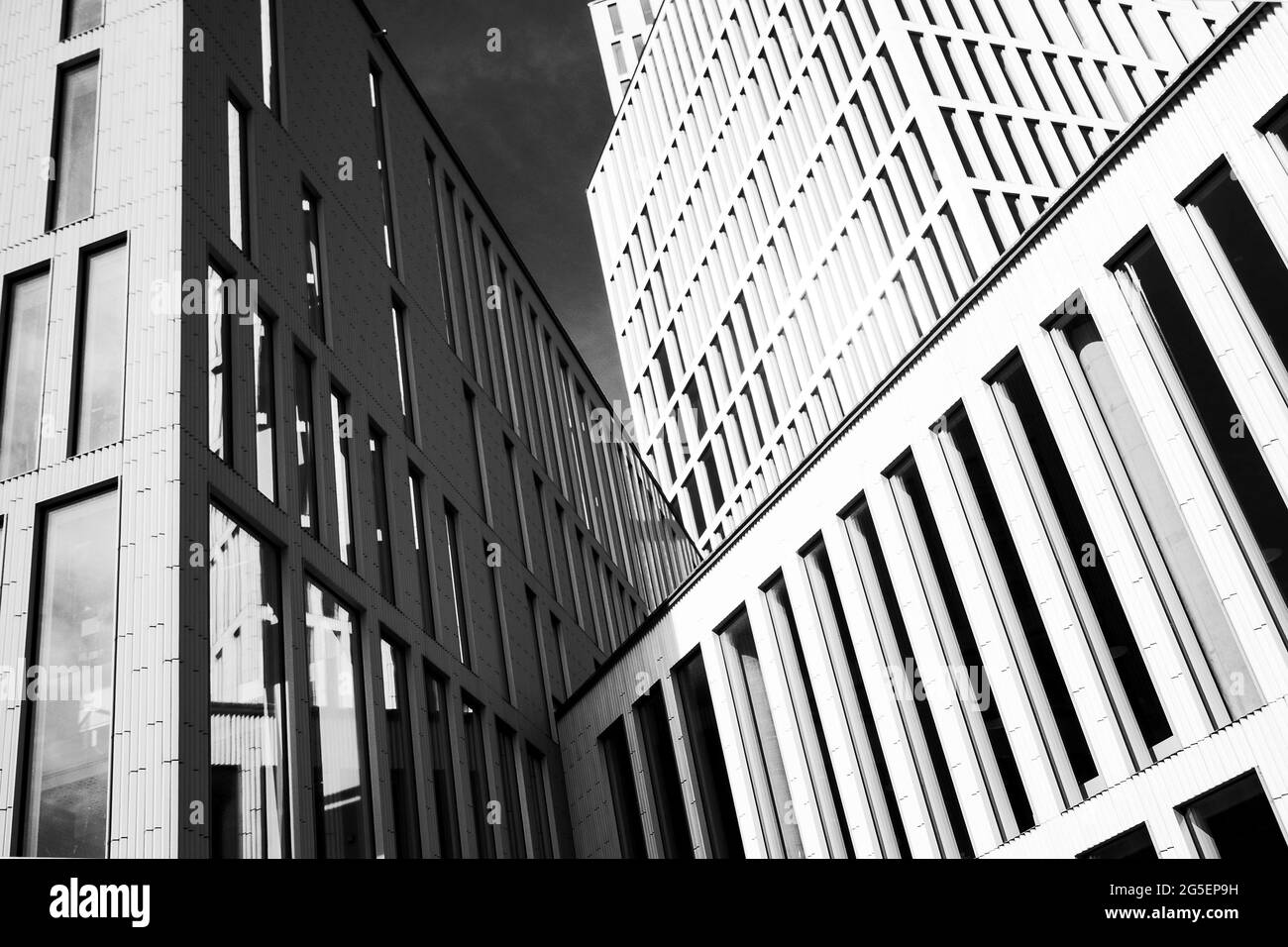 A grayscale Dutch angle shot of sleek white modern buildings with ...